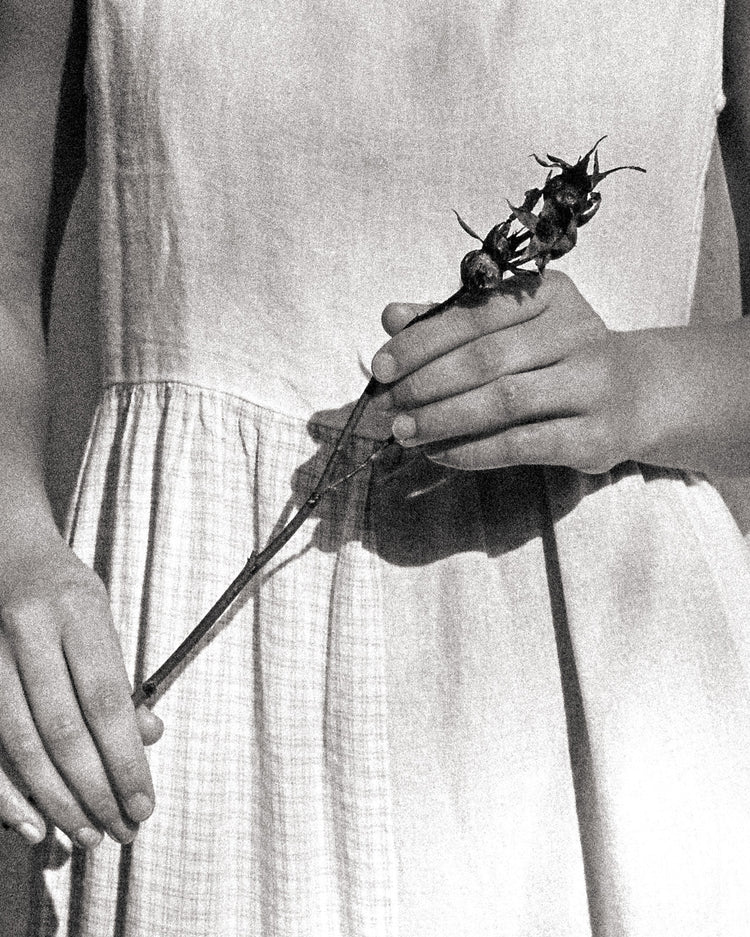 Gillian Stevens Studio